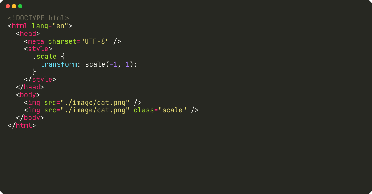 How To Mirror Photo In HTML how-to-mirror-photo-in-html
